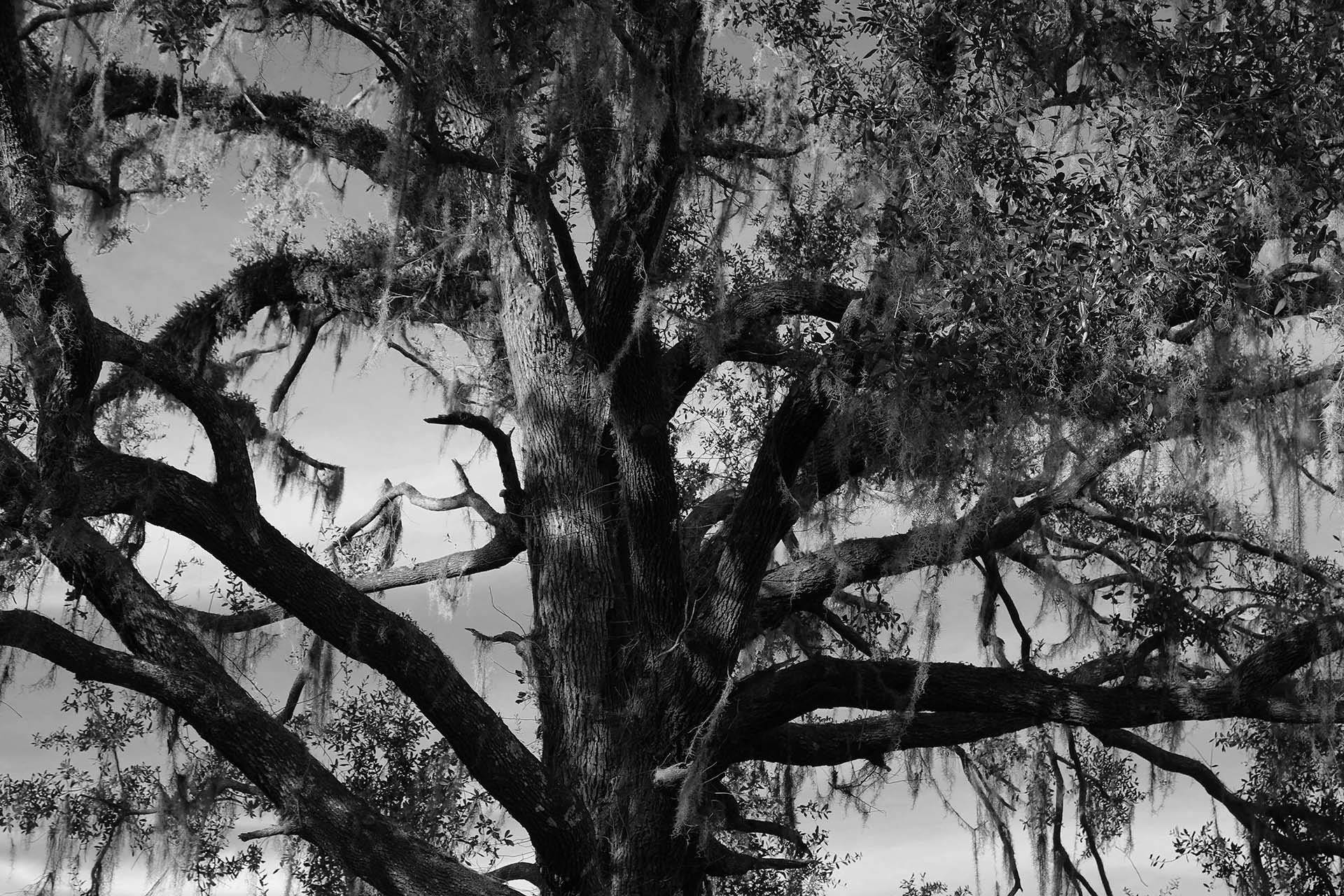 About Me - Kelly J Baker