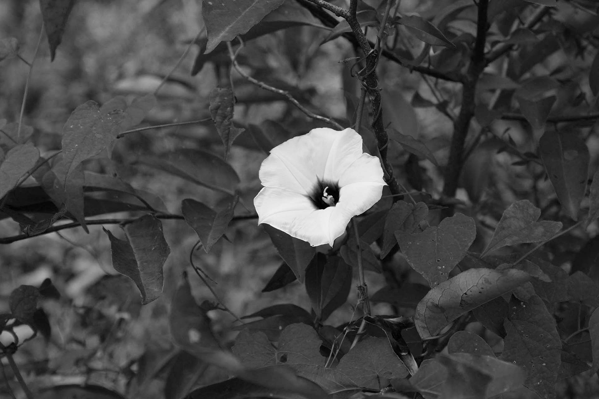 Contact - Kelly J Baker